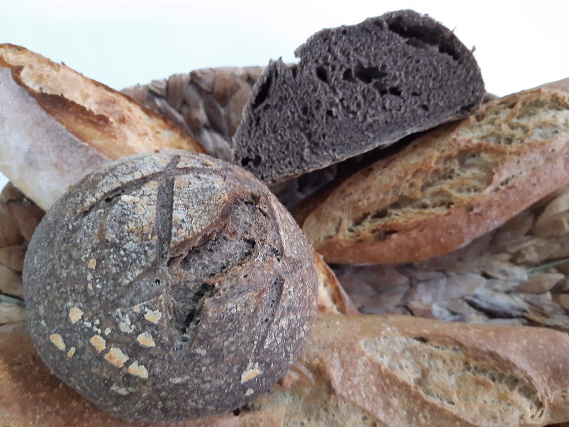 Acacia negra: Plaga en el monte, delicia en la mesa – ERA Verde