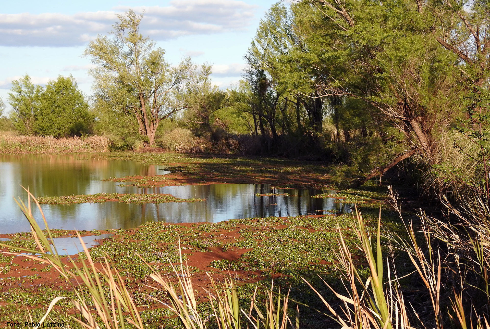 Presentan el plan de manejo de la reserva “Río de los Pájaros” de Colón ...