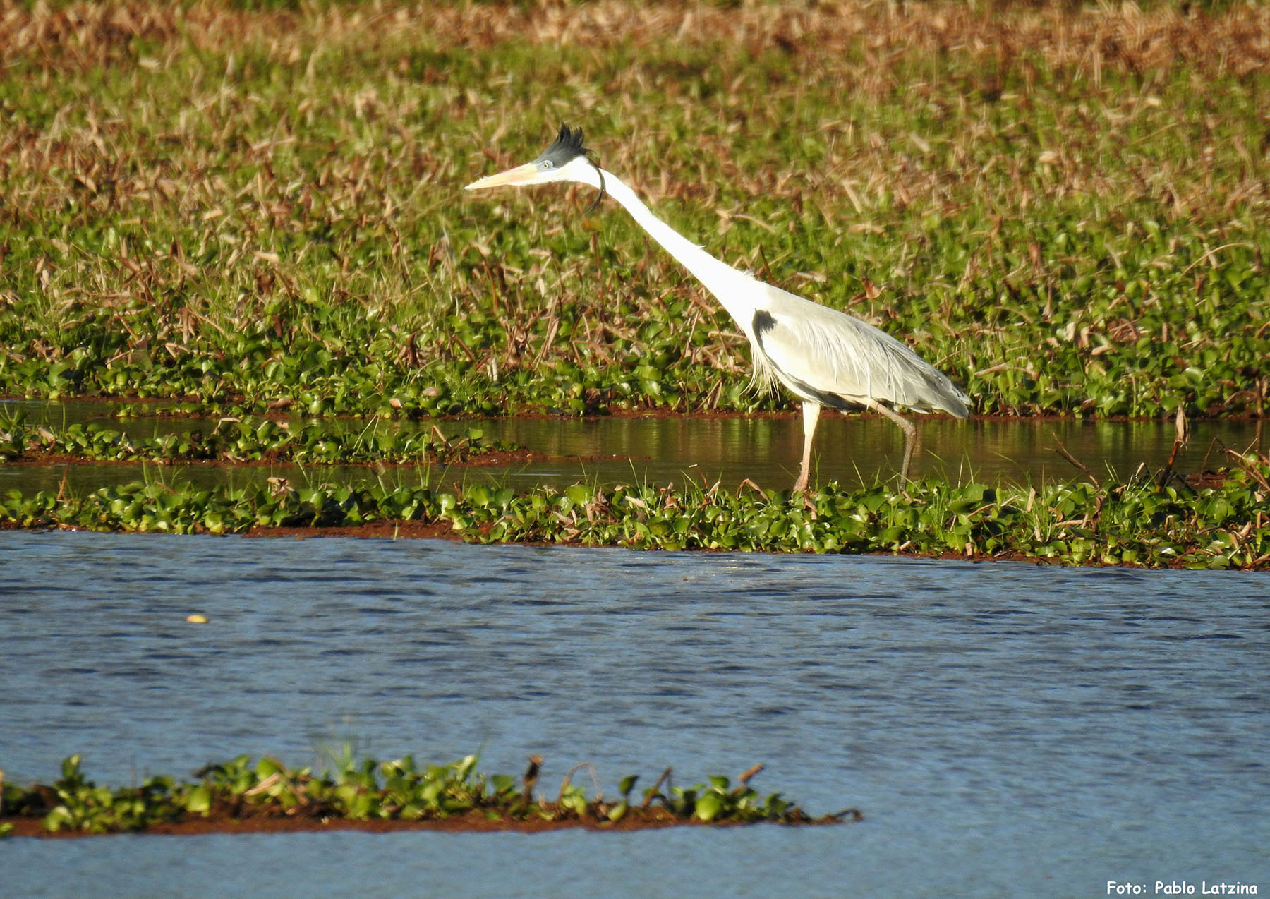 Presentan el plan de manejo de la reserva “Río de los Pájaros” de Colón ...