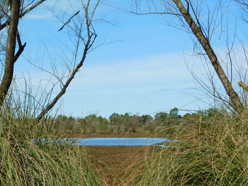 Acuerdo para crear la Reserva “Río de los Pájaros” en Colón – ERA Verde
